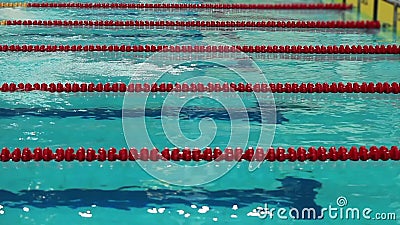 Swimming Competition Start and Finish Stock Footage - Video of start ...