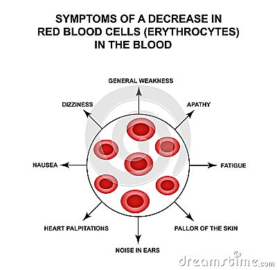 Symptoms Of A Decrease In Red Blood Cells In The Blood. Cells ...