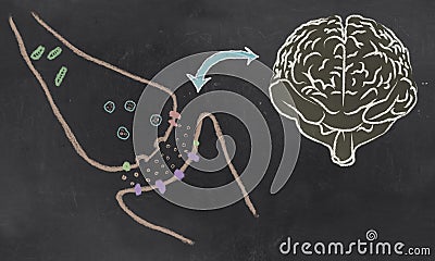 Synaptic Cleft Illustration With Neurotransmitters | CartoonDealer.com ...