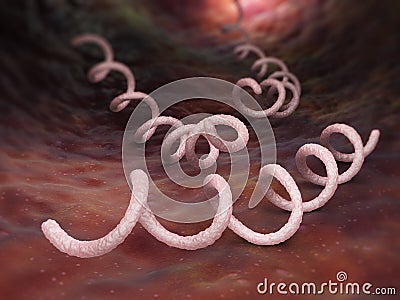 Syphilis Bacterium Stock Illustration - Image: 49554219