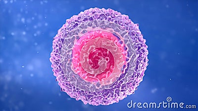 T-lymfocyt Mastcel Of Een Mastocyte, Labrocyte Stock Illustratie ...