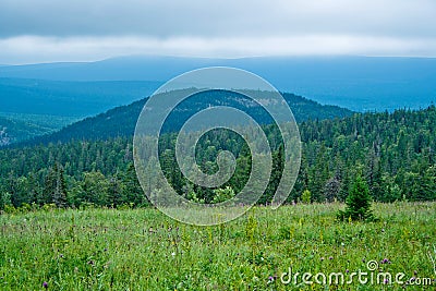 Taiga Royalty Free Stock Photos - Image: 24138378