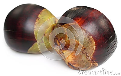 Tal Fruit Of Indian Subcontinent Royalty Free Stock Image - Image: 27151716