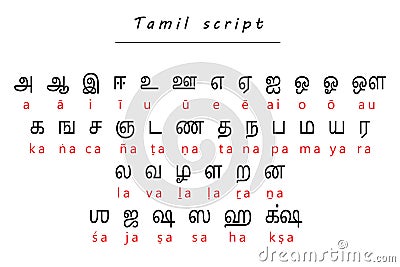Tamil Alphabet Chart With Romanized Transliteration For Learning Vector Illustration ...