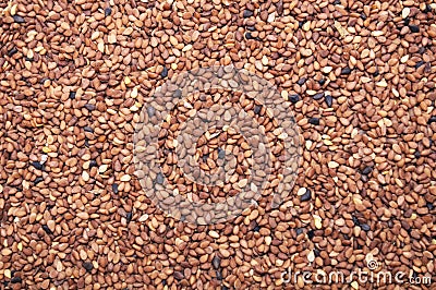 Tan Sesame Seeds Royalty-Free Stock Image | CartoonDealer.com #14077186