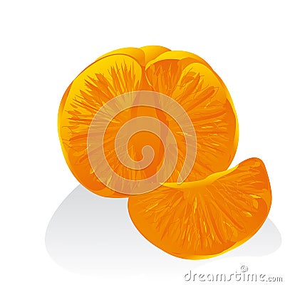 Tangerine Cartoon Vector | CartoonDealer.com #6601551