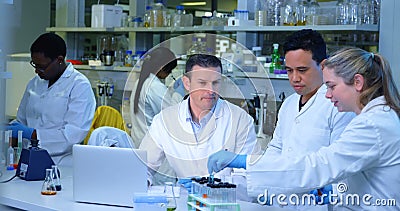 Team of Scientists Interacting with Each Other 4k Stock Video - Video ...