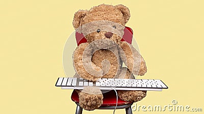 Teddy Bear Typing on Keyboard Stock Video - Video of technology ...