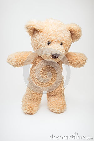 Teddy Bear Royalty-Free Stock Photo | CartoonDealer.com #77271585