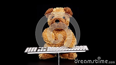 Teddy Dog Typing on Keyboard Stock Footage - Video of connect ...