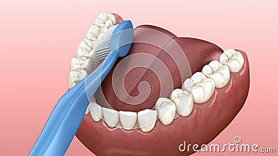 Teeth Brushing, Cleaning Process. Medically Accurate 3D Animation of ...