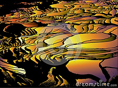 Terrace Rice Field Abstract Pattern Vector Illustration | CartoonDealer ...