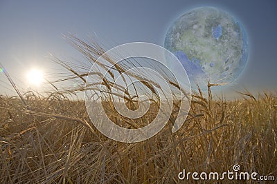Terraformed Luna Seen From Field Royalty-Free Stock Photo ...