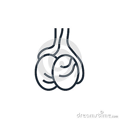 Testicles Vector Icon. Testicles Editable Stroke. Testicles Linear ...