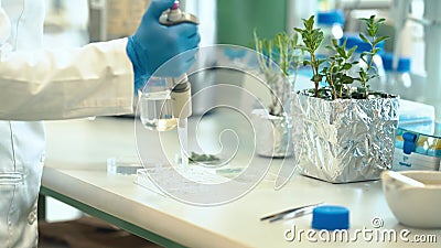 Testing a Plant Sample in a Biochemical Science Laboratory. a Scientist ...