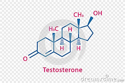Testosterone Chemical Formula. Testosterone Structural Chemical Formula ...