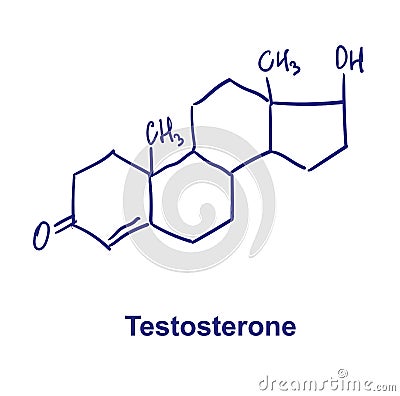 Testosterone Chemical Structure. Vector Illustration Hand Drawn ...