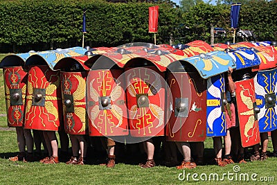 Testudo Stock Image - Image: 9722211
