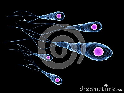 Tetanus Bacteria Royalty Free Stock Image - Image: 11898406