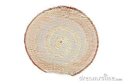 Textural Cross Section On Spruce Log Stock Photo | CartoonDealer.com ...