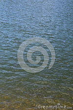 Texture Of Contaminated River Water. The Consequences Of Pollution ...