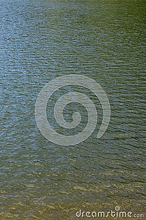 Texture Of Contaminated River Water. The Consequences Of Pollution ...