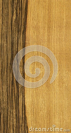 Texture Of Limba Tree Stock Photography | CartoonDealer.com #43359470