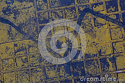 The Texture Of A Manhole Cover Drenched In Yellow Paint Royalty-Free ...