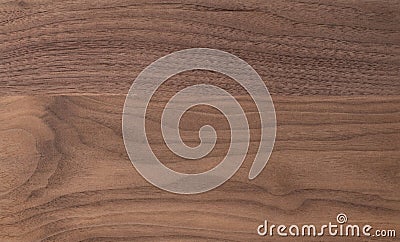 Texture Of Sanded Raw Black Walnut Wood Without Finish Stock Image ...