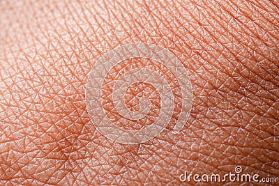 Texture Of The Skin.Dark Skin Of Woman Hand Macro. Human Skin Texture ...