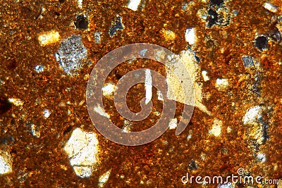 Thin Section Of A Brick Under The Microscope Stock Image ...
