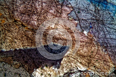 Thin Section Of Quartz Crystals Under The Microscope Royalty-Free Stock ...