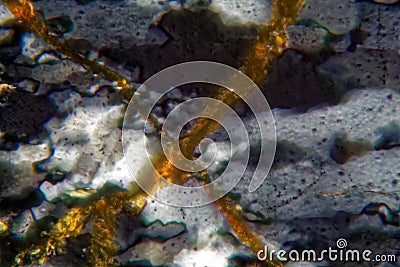 Thin Section Of Quartz Crystals Under The Microscope Royalty-Free Stock ...