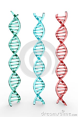Three Dna Structures On White Background Stock Photo | CartoonDealer ...