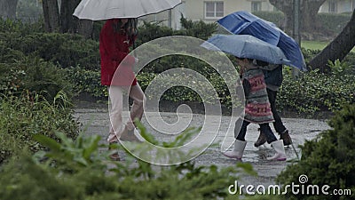 Kids in the Pouring Rain Having Fun Jumping with Umbrellas - Slow ...