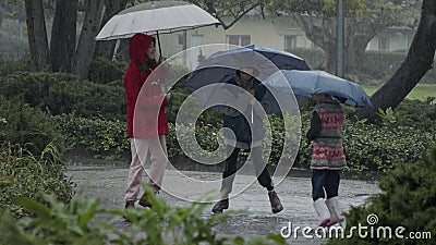 Kids in the Pouring Rain Having Fun Jumping with Umbrellas - Slow ...