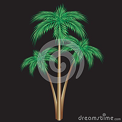 Three Palm Trees. Vector Illustration | CartoonDealer.com #19804600