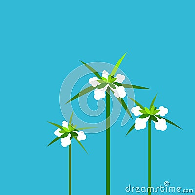 Illustration Of Leucas Slitwort Flower Locally Called `Thumbapoo`,a ...