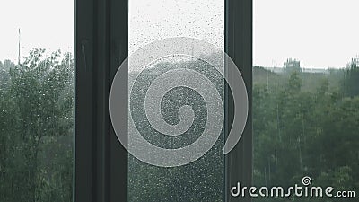 Thunderstorm Outside the Window, Heavy Rain, Trees Swaying in the Wind ...