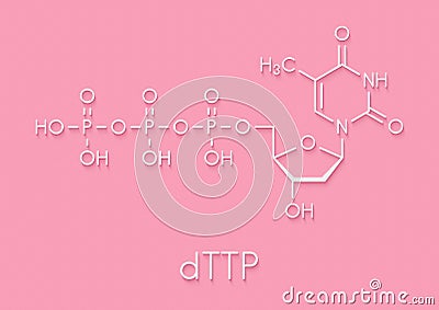 Thymidine Triphosphate TTP Nucleotide Molecule. DNA Building Block ...