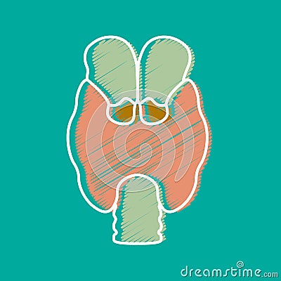 Thyroid. Endocrine Gland. Illness Of The Endocrine System. Thyroid ...