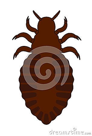 Tick Insect Cartoon Vector | CartoonDealer.com #94291709