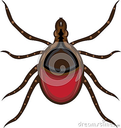 Tick Insect Cartoon Vector | CartoonDealer.com #53556363