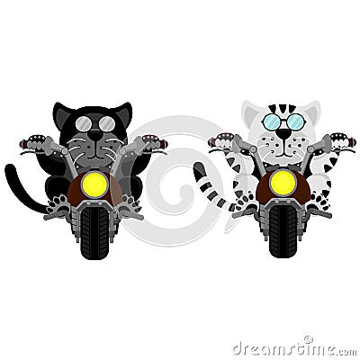 Tiger And Panther Bikers. Vector Illustration Set Of A Cat On A ...