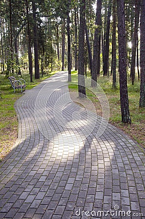 Tiled Path Curve In Park Forest. Bench Resort Area Stock Image ...