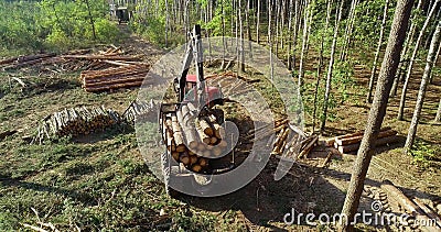 Timber Loading, Loading Logs into a Truck, Timber Processing ...