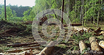 Timber Loading, Loading Logs into a Truck, Timber Processing ...