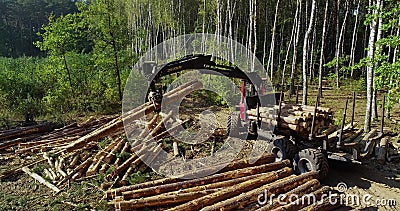 Timber Loading, Loading Logs into a Truck, Timber Processing ...