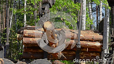 Timber Loading, Loading Logs into a Truck, Timber Processing ...