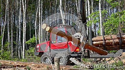 Timber Loading, Loading Logs into a Truck, Timber Processing ...